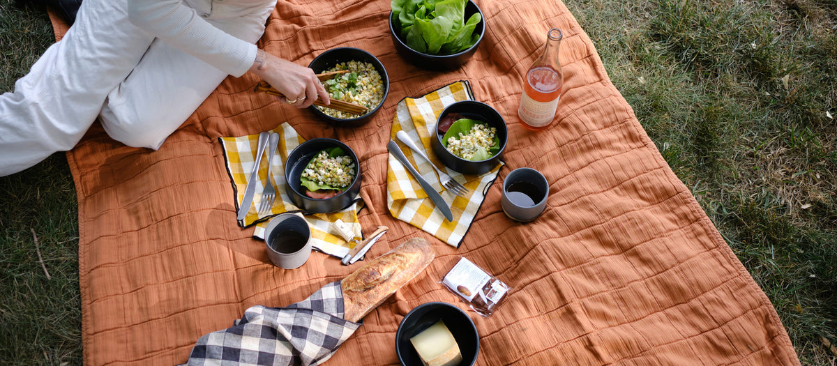 Picnic Like a Pro!