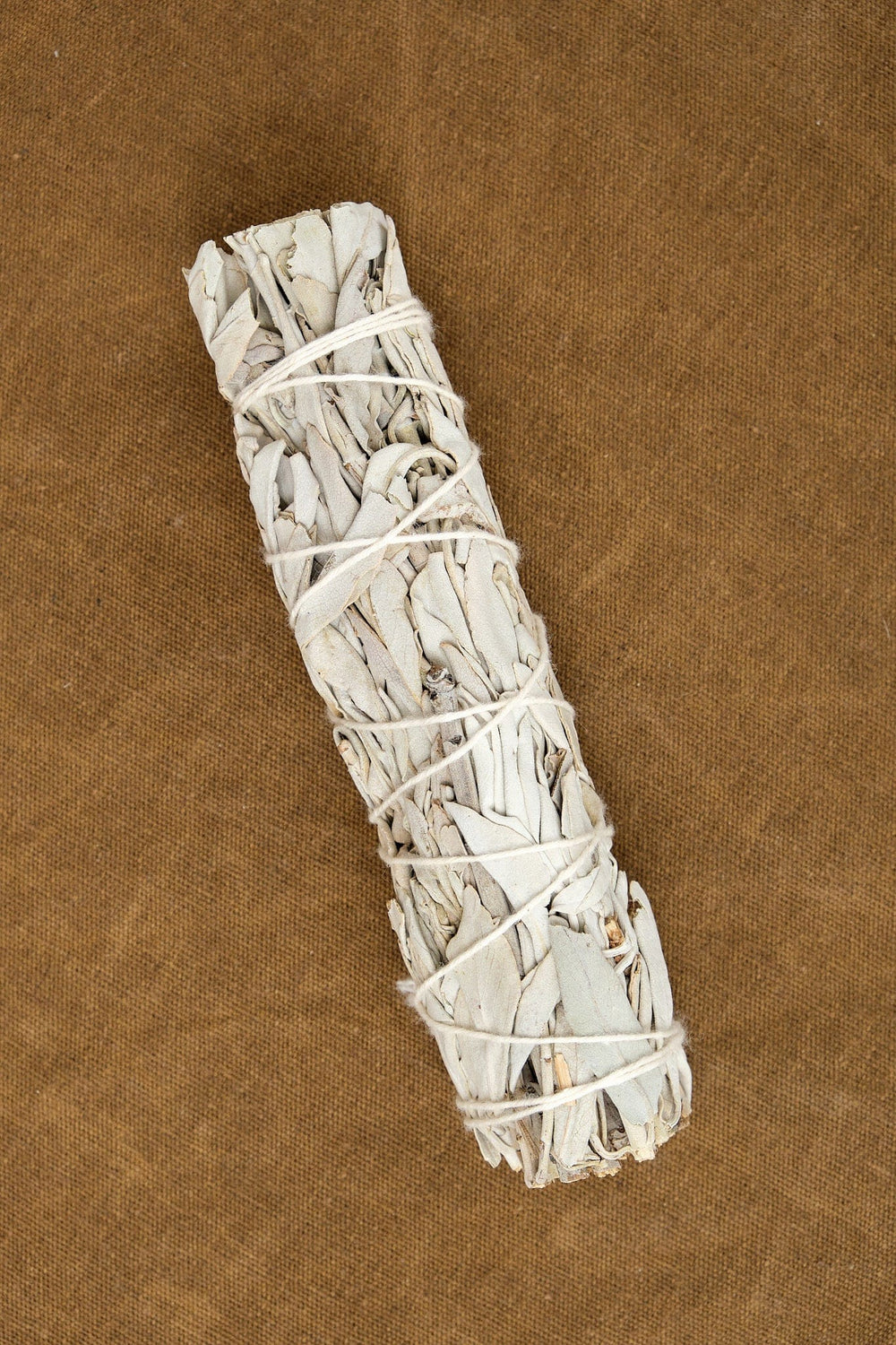 Incausa Medium Wild White Sage Bundle